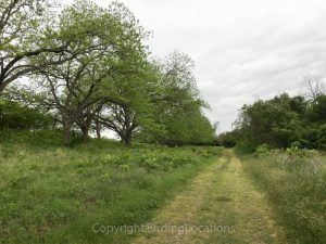 Commons Ford Ranch Metropolitan Park | Birding Locations