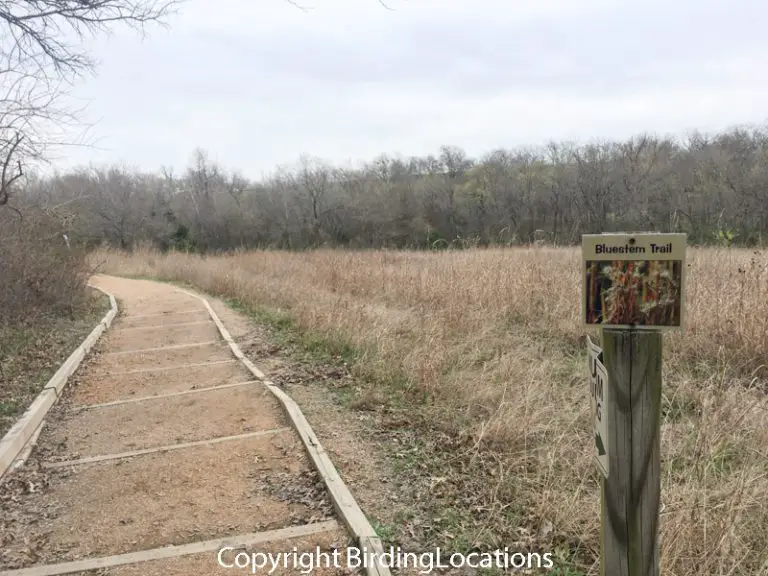 The Top 5 Birding Hotspots in Dallas | BirdingLocations