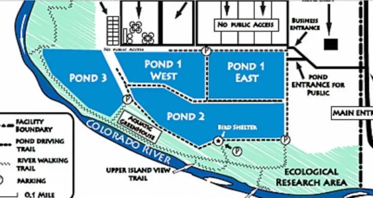 Hornsby Bend Bird Observatory | Birding Locations