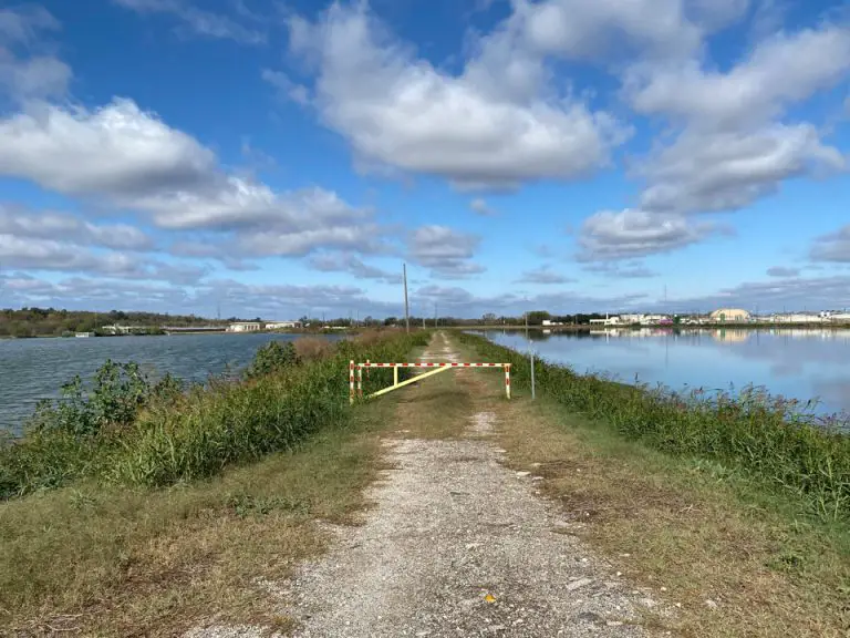Hornsby Bend Bird Observatory | Birding Locations