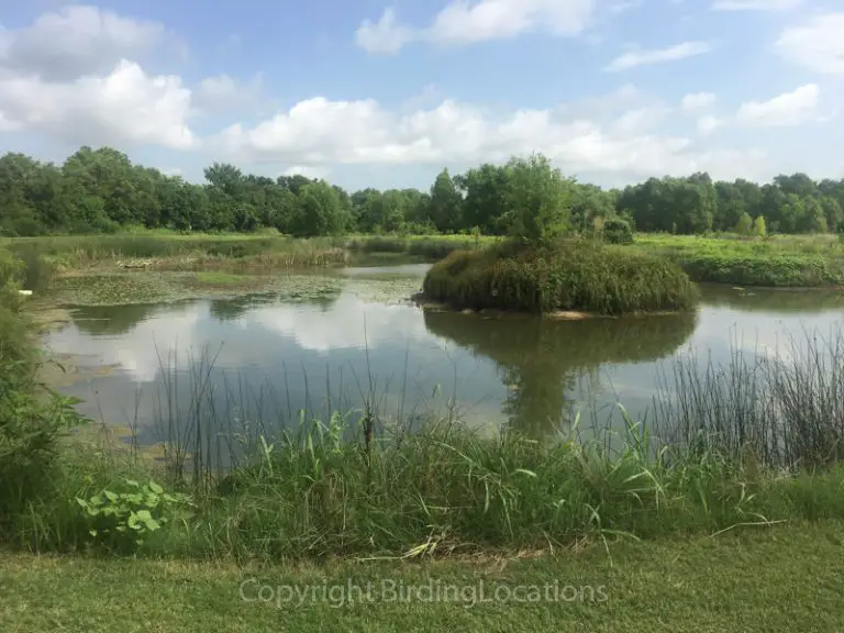 Lake Waco Wetlands | Birding Locations