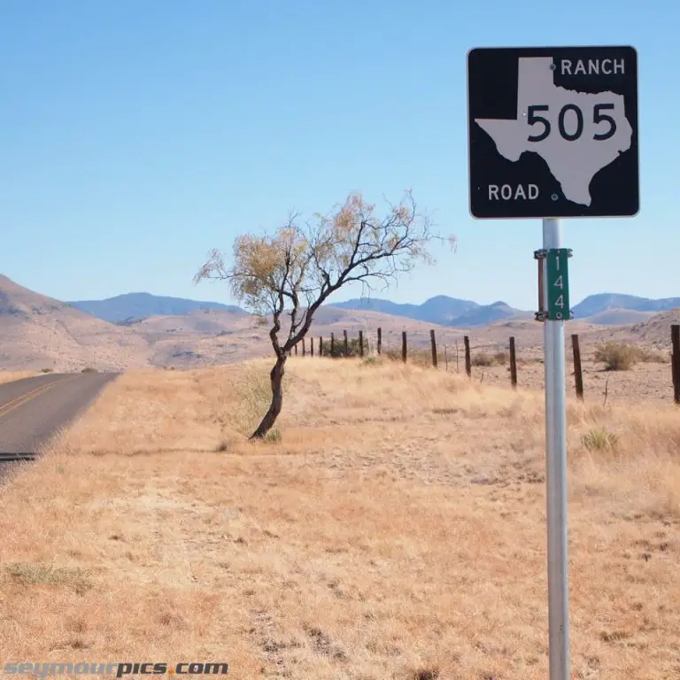 The 3 Best Places to Find a Golden Eagle in Texas | BirdingLocations
