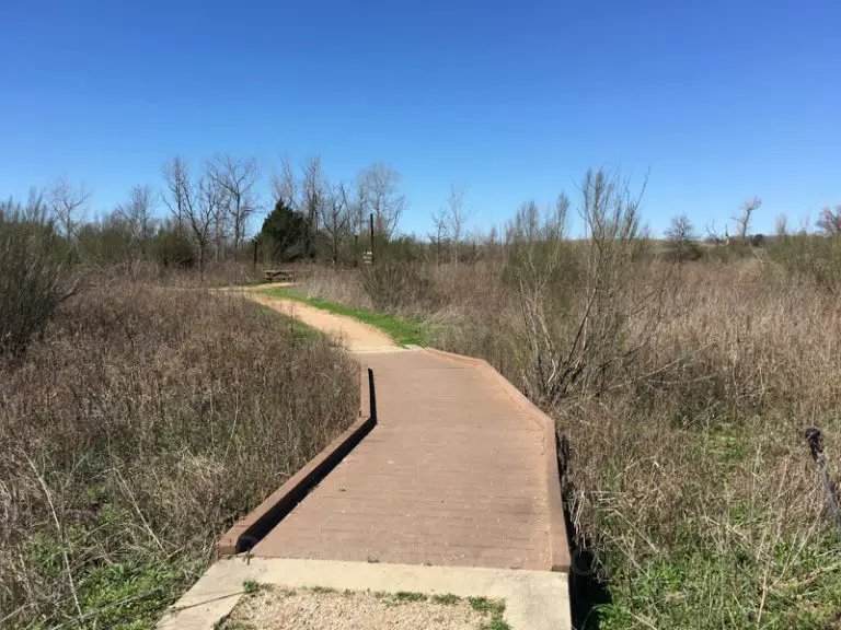 The Top 5 Birding Hotspots in Dallas | BirdingLocations