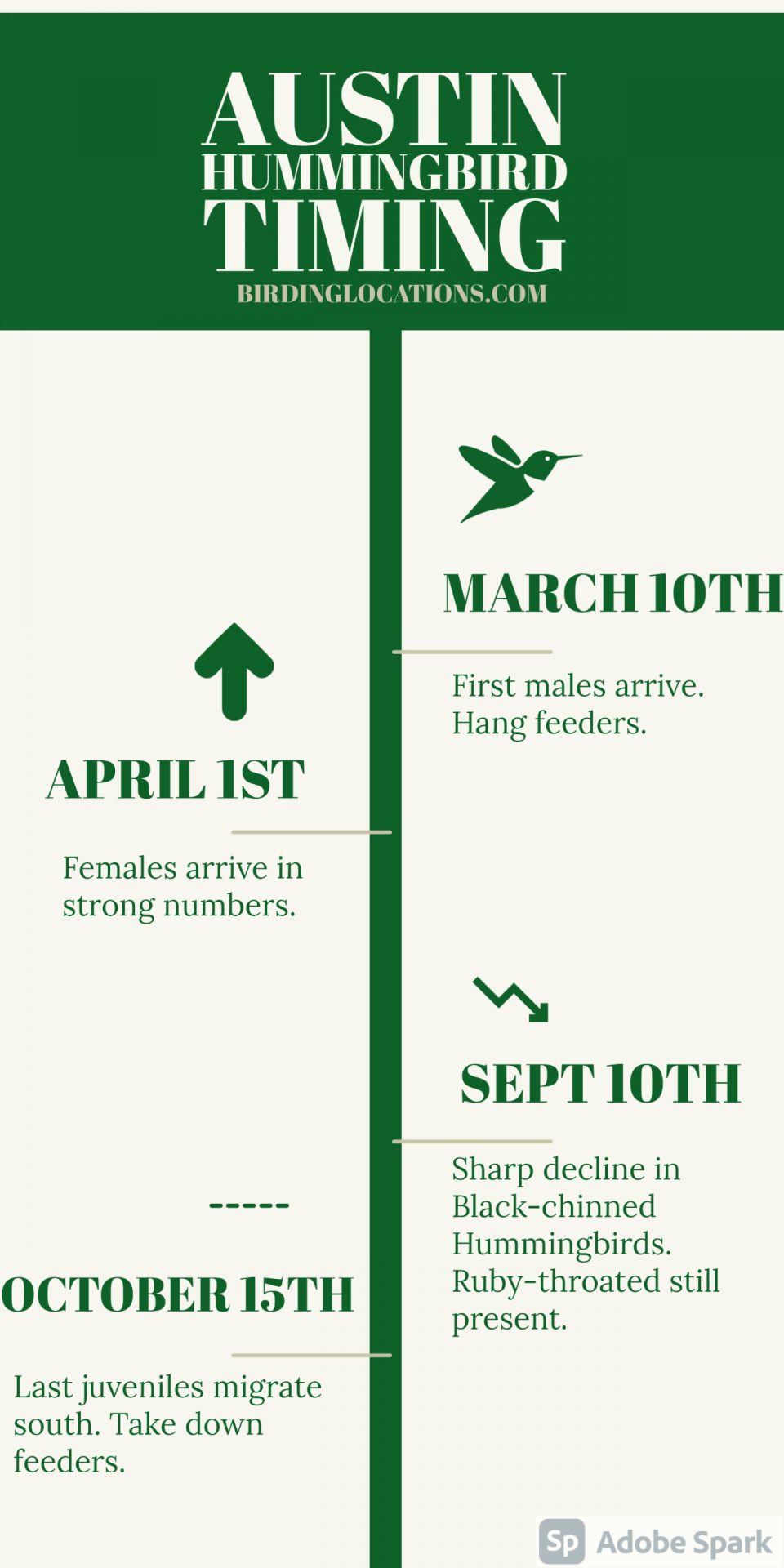 Hummingbird Season in Texas & When to Hang Feeders | BirdingLocations